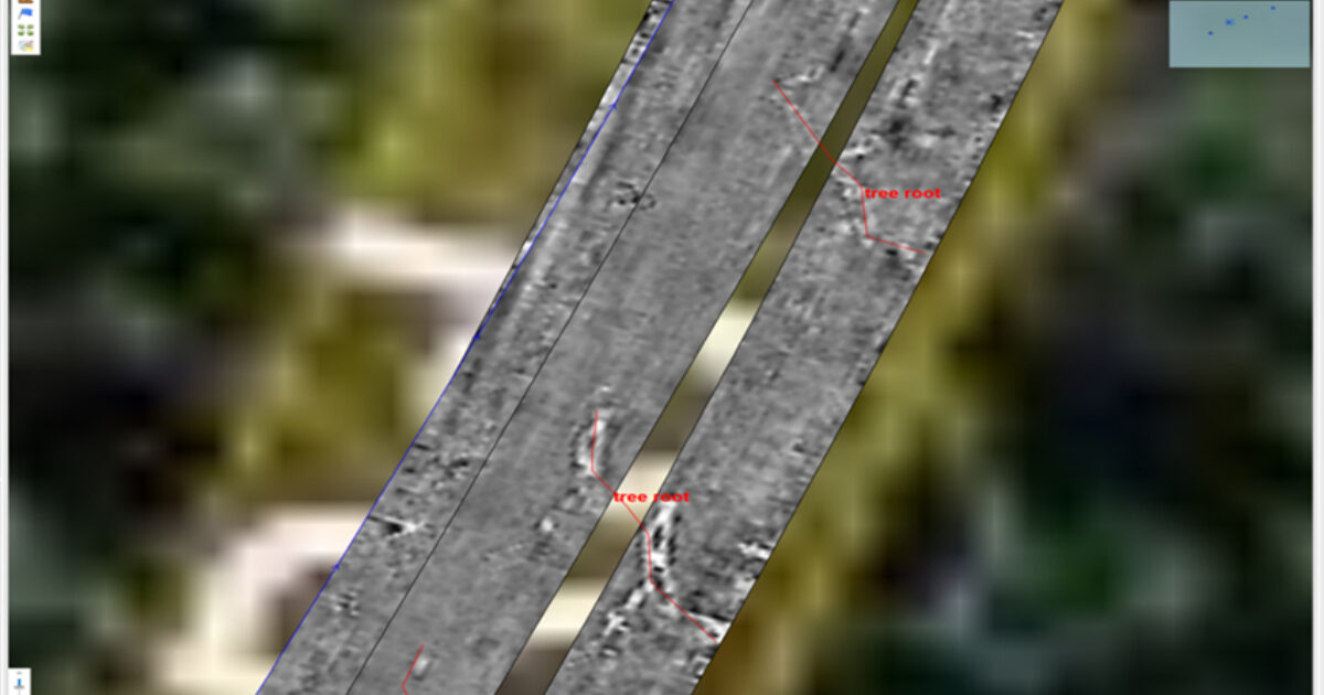 Tree Root Mapping Veris