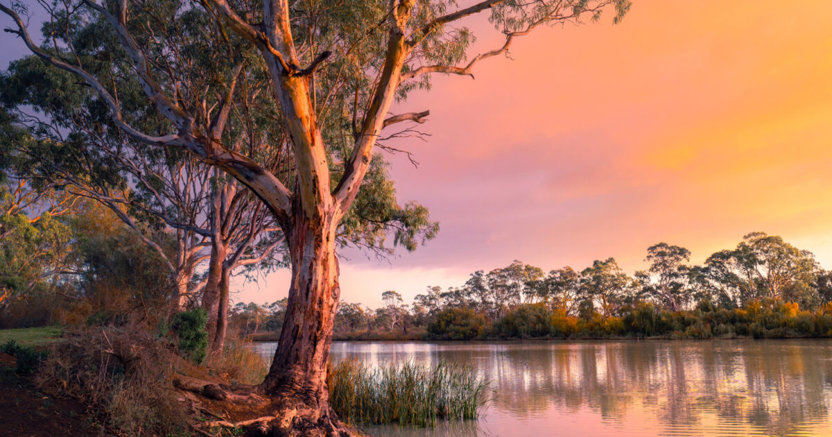 Collaborative Australian Protected Areas Database | Veris